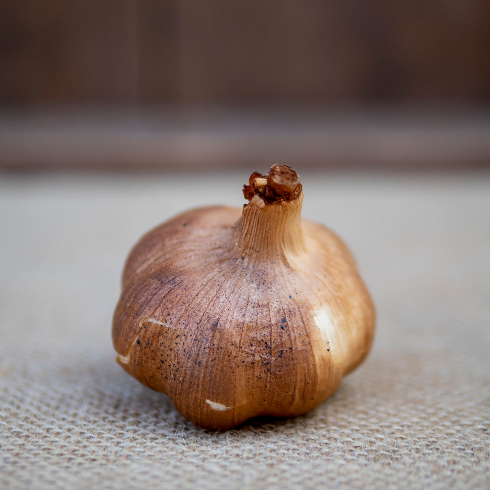 The Garlic Farm - Smoked Garlic Bulb – Fluffetts Home